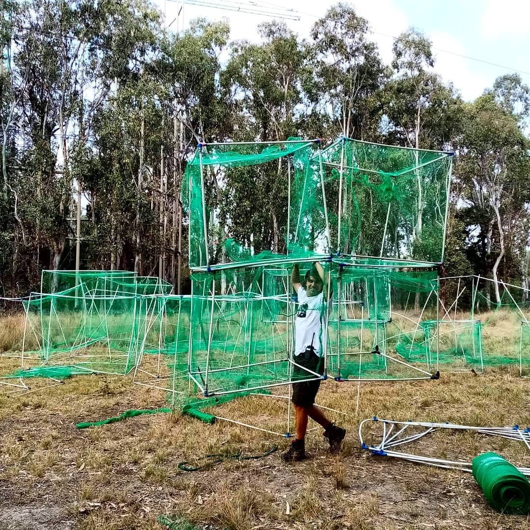 Field work in Australia going well