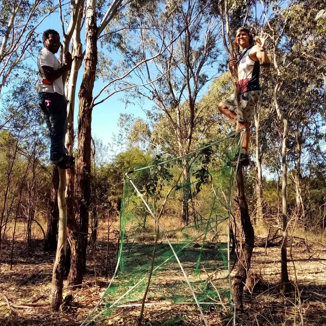 Field work in Australia going well
