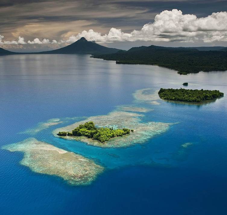 How Endemic Birds Shape Rainforest Ecosystems on New Britain